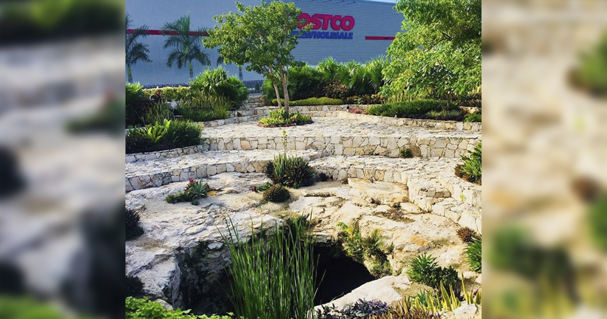 De los creadores del Oxxo con vista al mar, llega el Costco con cenote ...