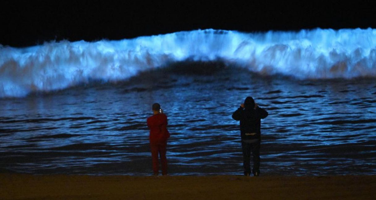 VIDEO: Playa de California se ilumina con olas de bioluminiscencia ...