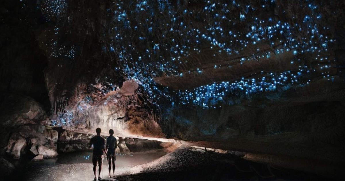 Las espectaculares Cuevas luz de Waitomo en Nueva Zelanda