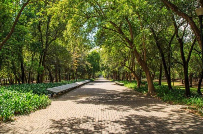 ¡El Bosque de Chapultepec es el mejor parque urbano del mundo! - Ciudad ...