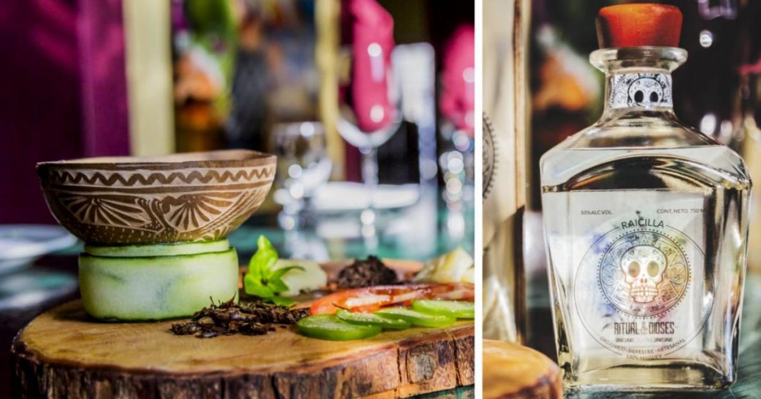Raicilla: La bebida ancestral que ya cuenta con Denominación de origen