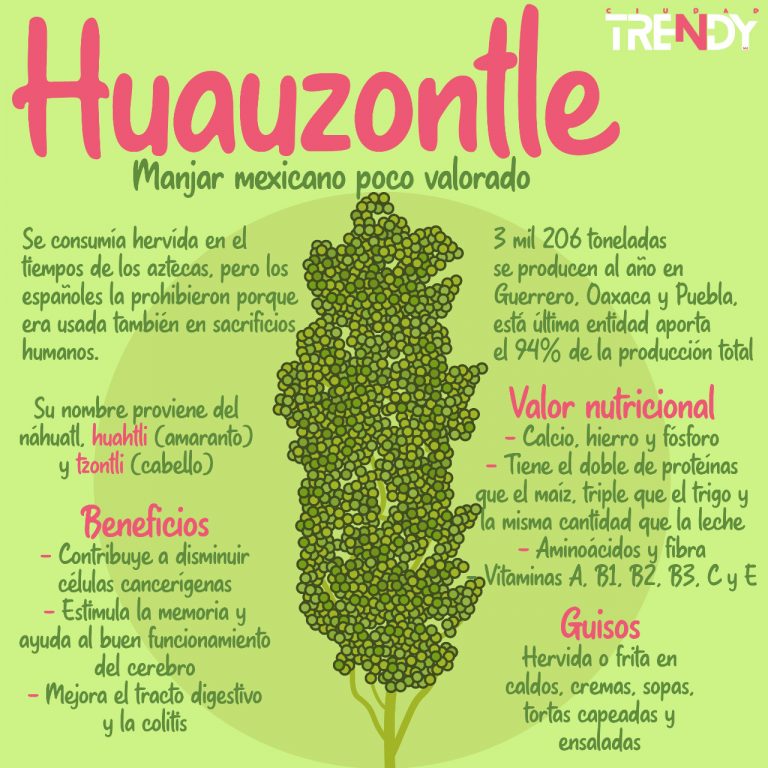 Huauzontle: Propiedades y receta de esta planta parecida al amaranto