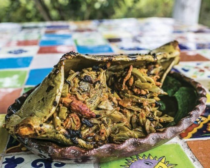 Nopal en penca, una tradición en Peña de Bernal - Ciudad Trendy