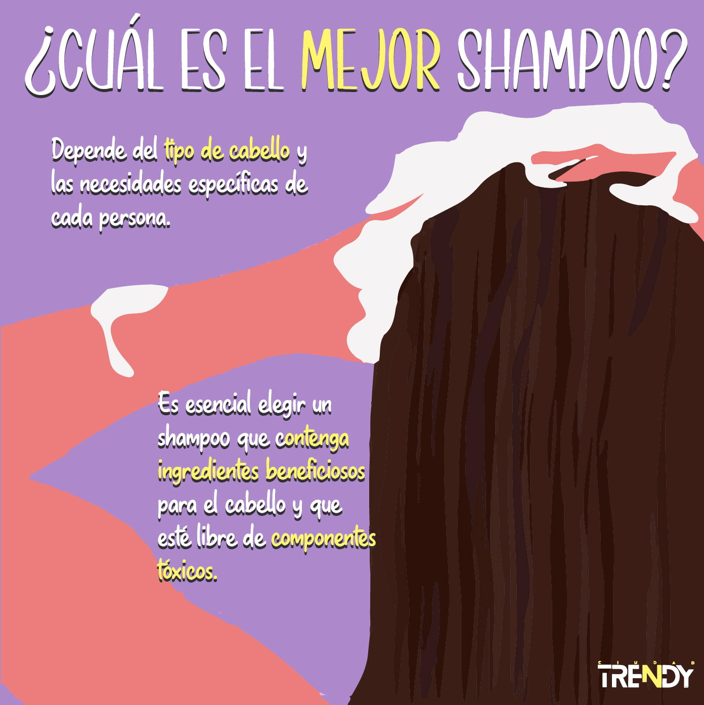 EL MEJOR SHAMPOO PARA EL CABELLO: ¿Cuál elegir? | Ciudad Trendy